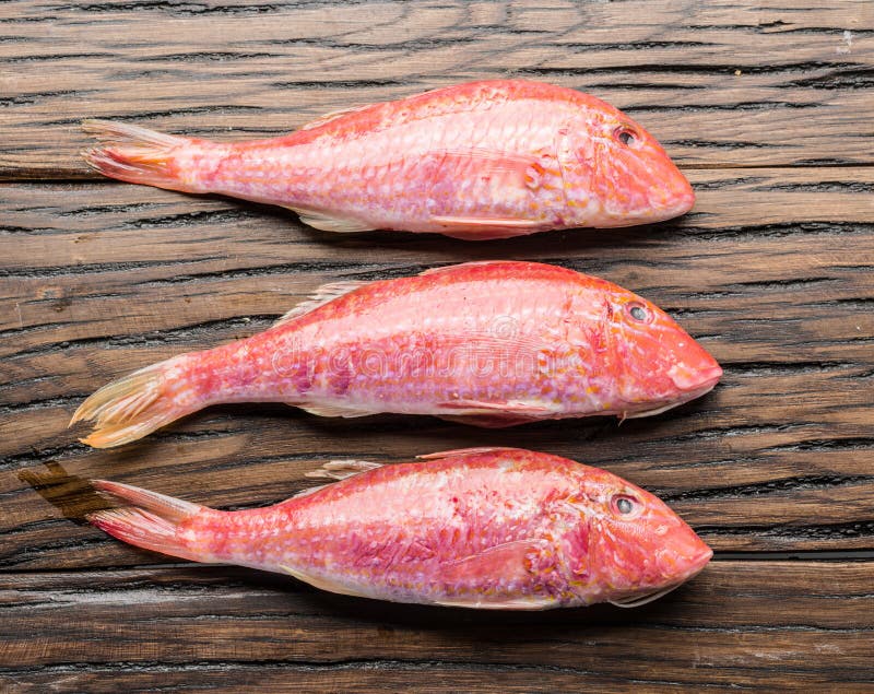 Red mullets. stock image. Image of mullus, valued, delicacy - 86356643