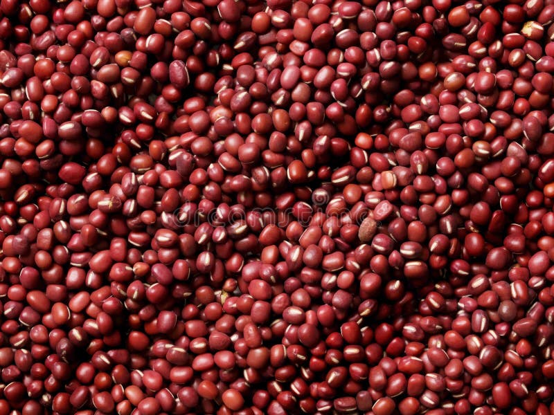 Red mung beans stock image. Image of beans, uncooked - 17853585