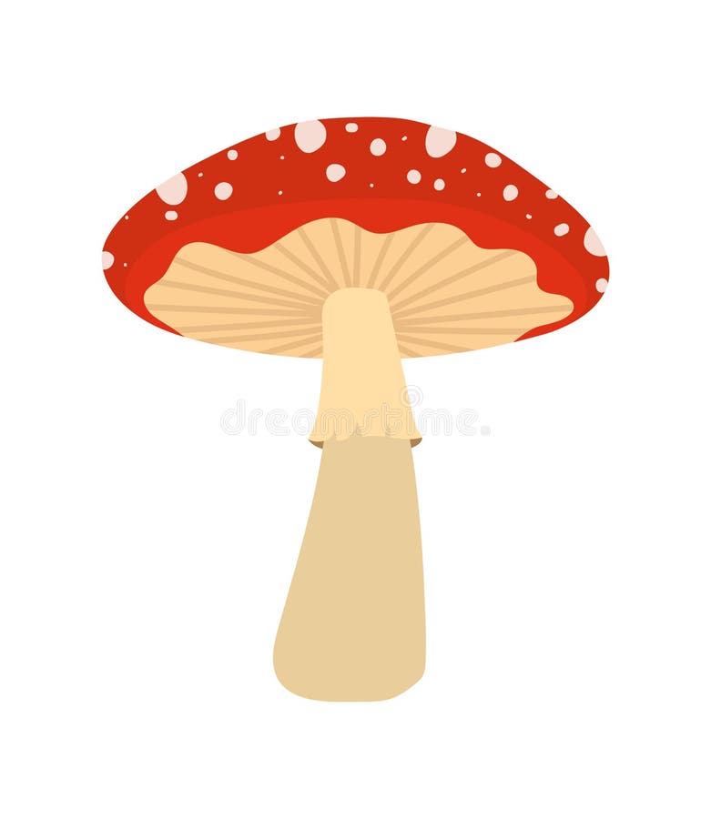 Red Mushroom Stock Illustrations – 14,429 Red Mushroom Stock ...
