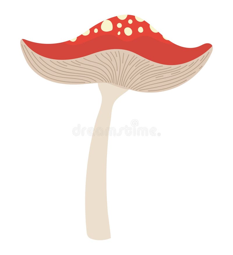 Red mushroom illustration stock vector. Illustration of forest - 270805391