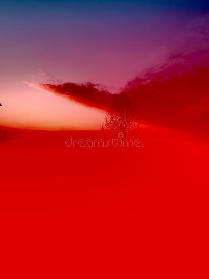 Red nature stock photo. Image of change, climate, nature - 178705188