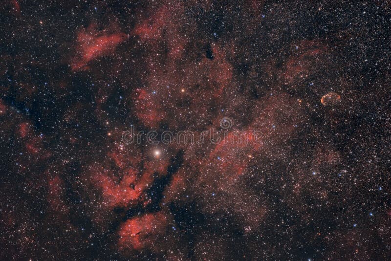 Nebulosity Arroud Sadr in the Constellation of Cygnus Stock Photo ...