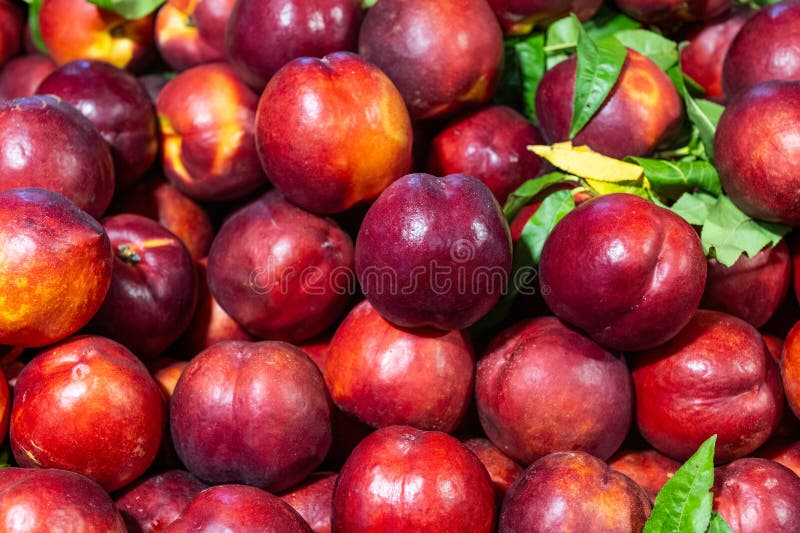 Red Nectarine Fruits on the Market Stall Stock Photo - Image of orange ...