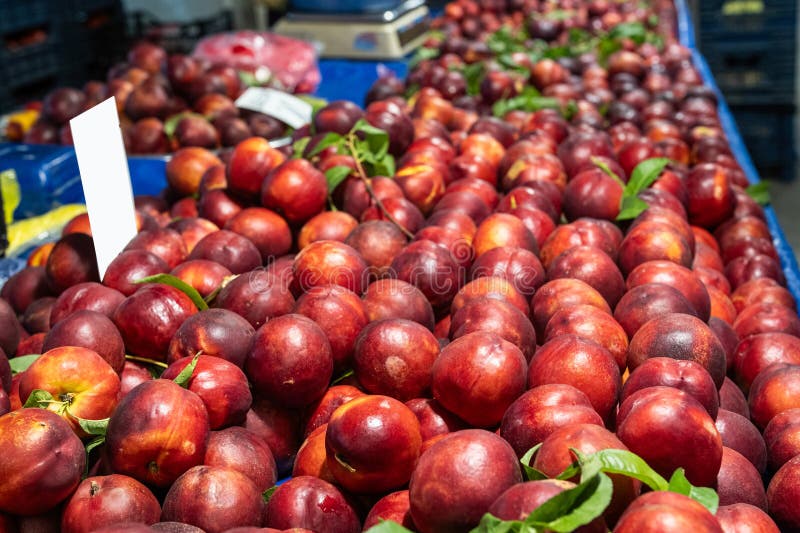 Red Nectarine Fruits on the Market Stall Stock Image - Image of ...