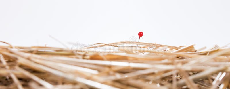 Red Needle is in the Haystack Stock Photo - Image of impossible, brown ...
