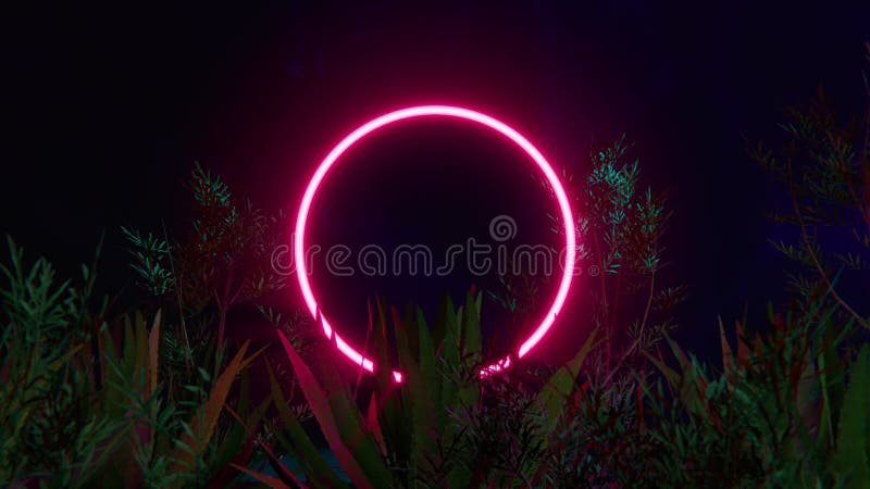 Red Neon Circle among Tropical Plants. Loop Animation Stock Video ...