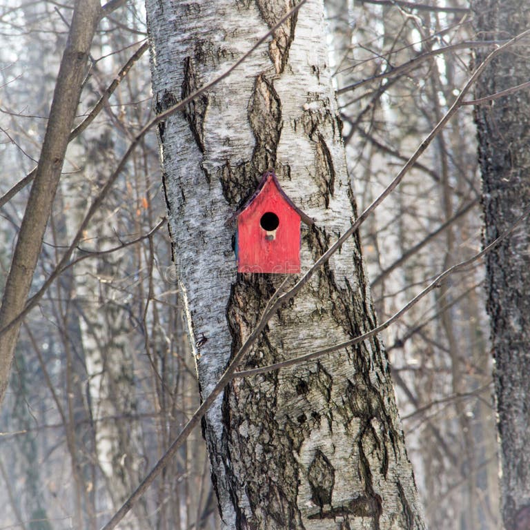 Red nesting box stock photo. Image of plant, leaf, tree - 68122410