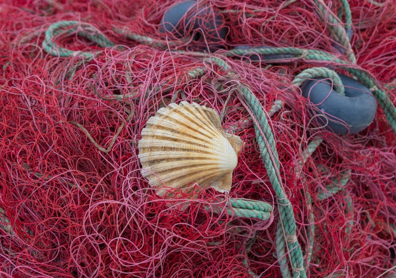 Red nets with shell stock image. Image of network, peace - 53188737