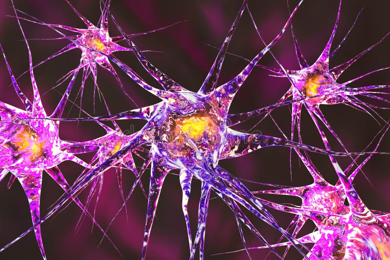 Ejemplo De Las Neuronas 3D Redes Neuronales Del Cerebro Humano Stock de ...