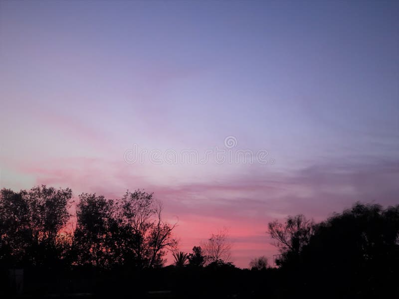 Red Nightfall in the Wild Nature Stock Photo - Image of petals, times ...
