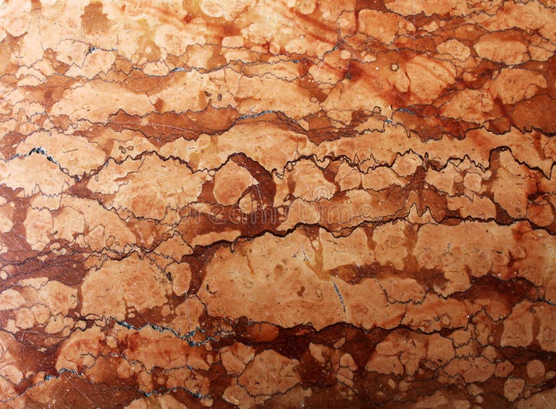 Red Nodular Limestone Polished Surface Stock Photo - Image of ...