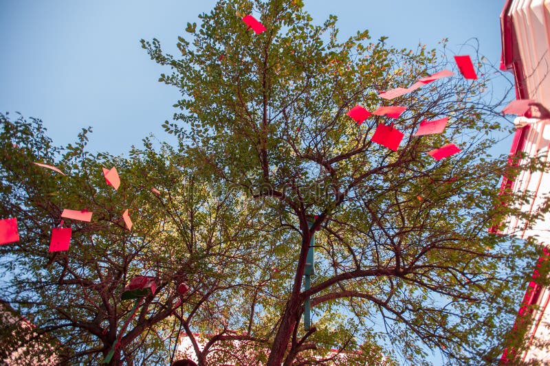Red Notes on a Tree, a Decorated Tree in Red Stock Image - Image of ...