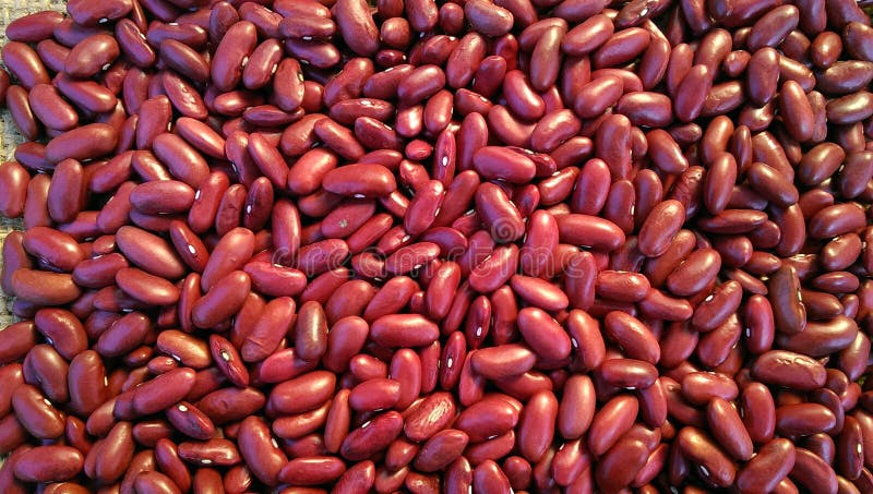 Nuts stock image. Image of wallpaper, color, natural - 49704951