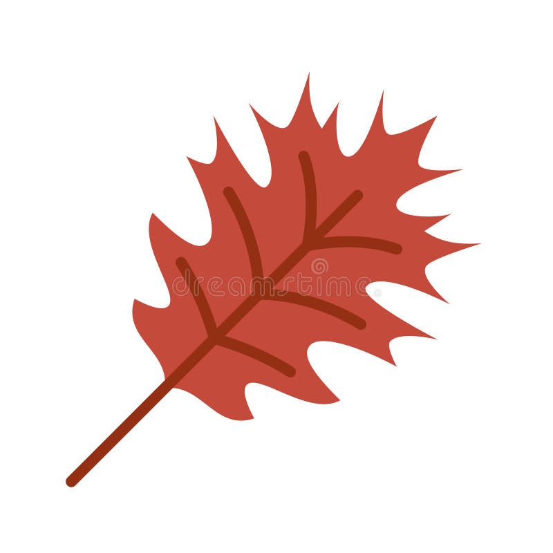 Red Oak Leaf Icon. Autumn Leaves of Red Oak Isolated on a White ...