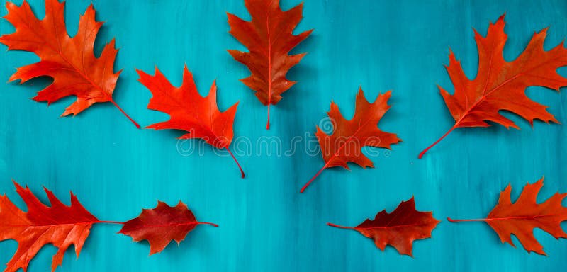 Red Oak Leaves Pattern on a Blue Background Stock Image - Image of ...