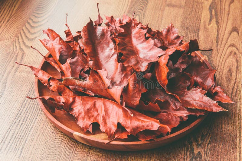 Red Oak Leaves in Wooden Plate on a Table Stock Image - Image of detail ...