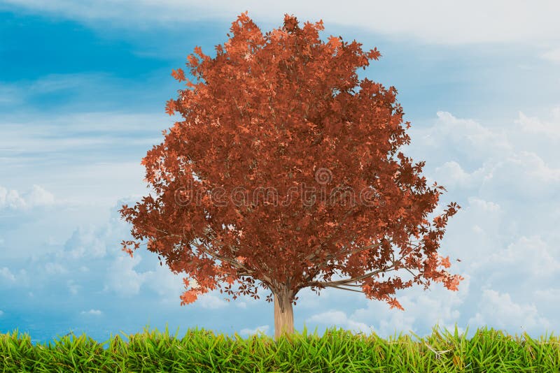 Red Oak Tree with Grass and Blue Sky Stock Illustration - Illustration ...
