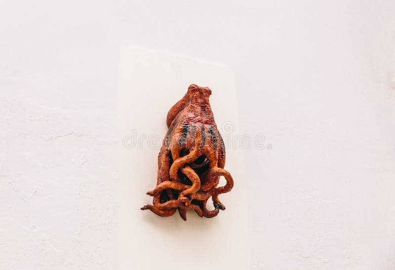 Red Octopus Hanging on a White Wall Stock Photo - Image of creature ...
