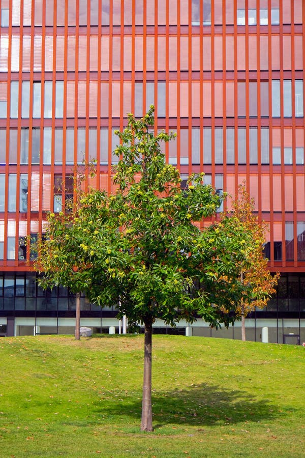 Red Office Building and Green Tree Stock Image - Image of elements ...