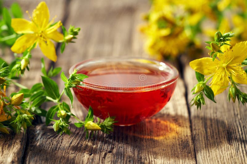 Red Oil Made from St. John`s Wort Flowers Stock Image - Image of flower ...
