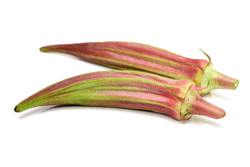 Red okra stock photo. Image of healthy, isolated, detail - 67770652