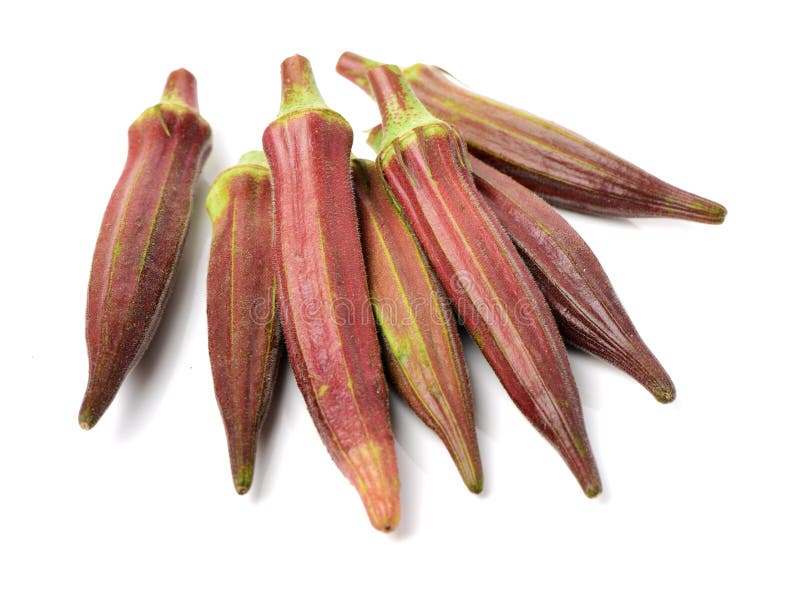 Red Okra stock photo. Image of healthy, nutrient, ladyfinger - 134814404
