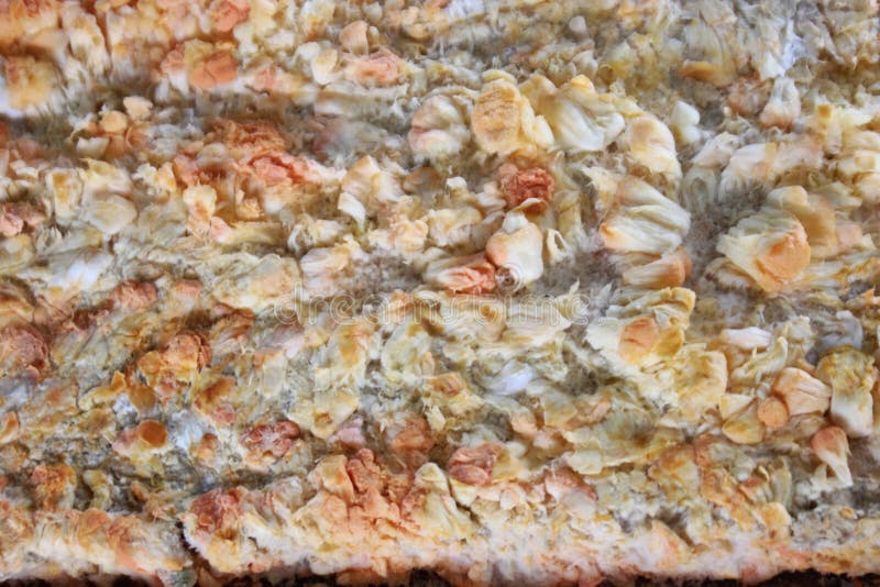 Red Oncom, a Popular Traditional Food in Indonesia. Stock Photo - Image ...