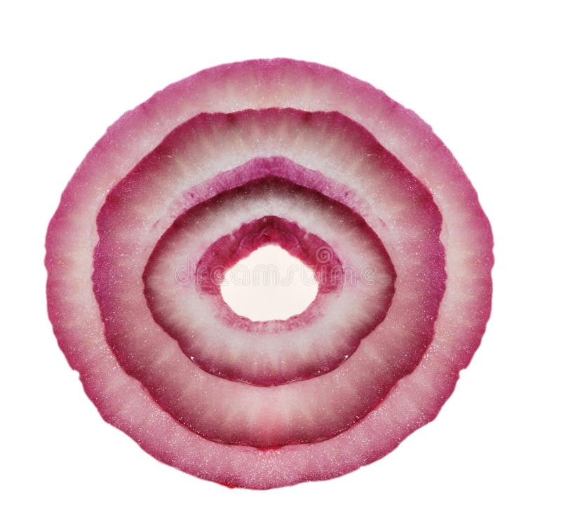 Heart-shaped red onion stock image. Image of vegetable - 11165843