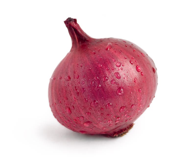 Red onion stock photo. Image of flavour, macro, cookery - 11166552