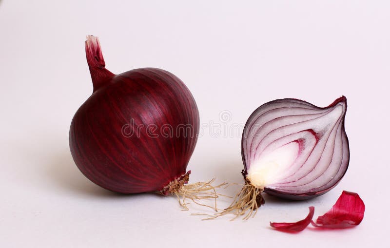 Red onion stock photo. Image of flavor, nutrition, green - 25288672