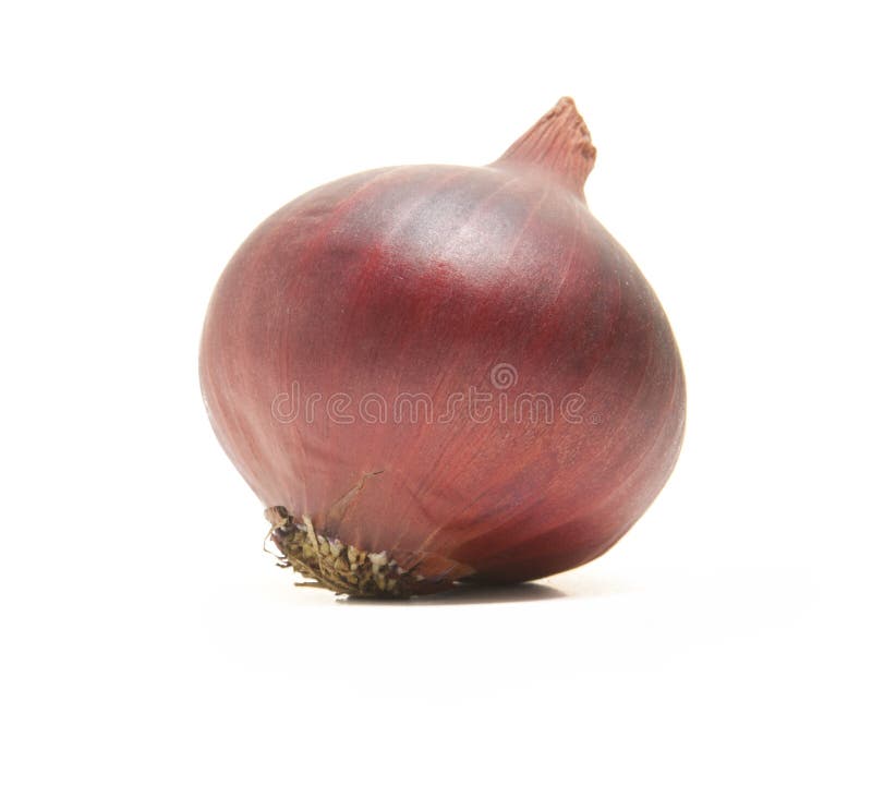 Red onion stock photo. Image of flavor, nutrition, green - 25288672