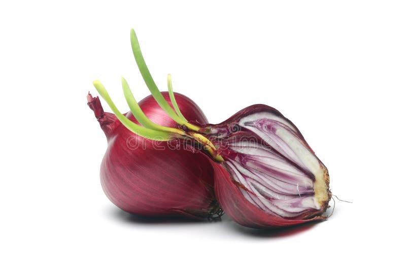 Red onion stock photo. Image of full, diet, herbs, berries - 25289022
