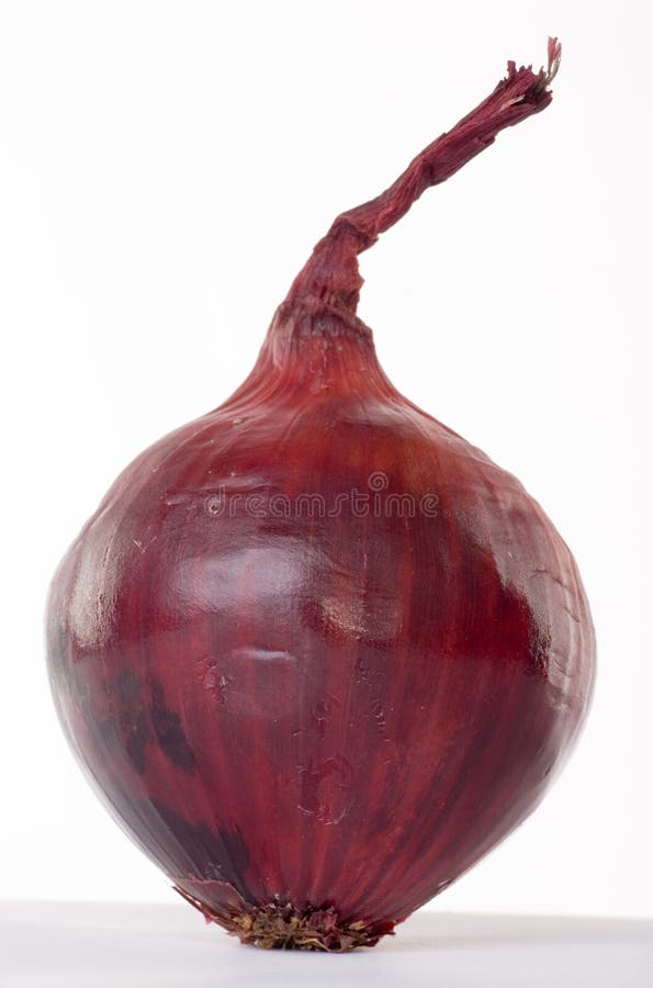 Onion stock image. Image of pure, healthy, natural, market - 2815427