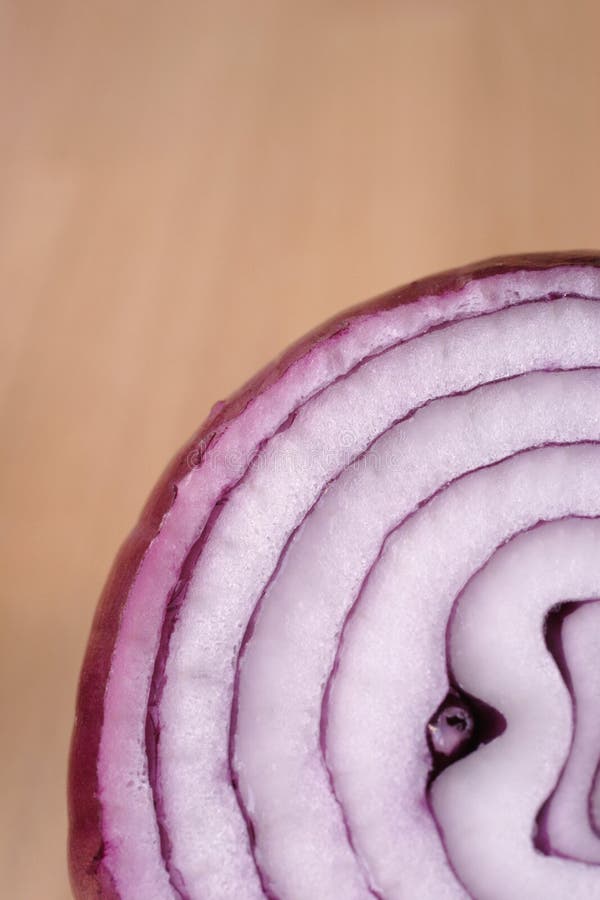 Red onion stock image. Image of roots, purple, grow, curve - 660137