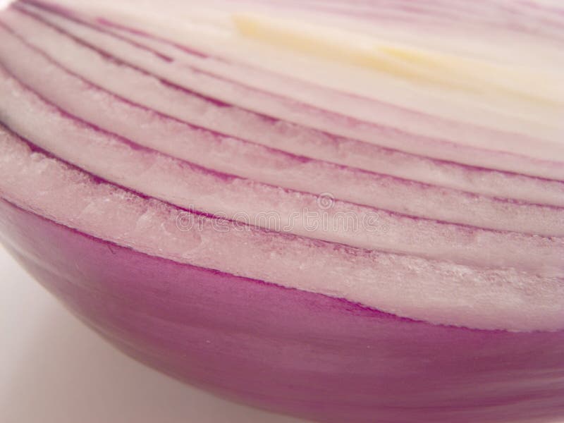 4,160 Onion Layers Stock Photos - Free & Royalty-Free Stock Photos from ...
