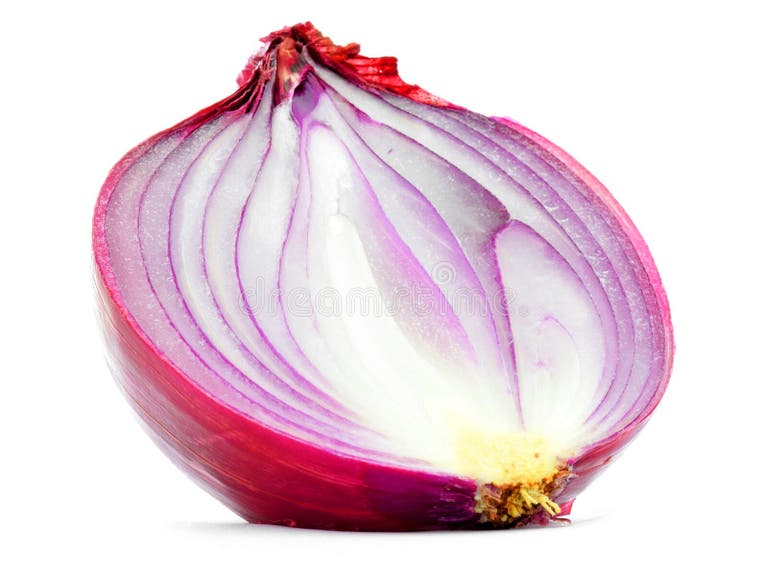 Red Onion Bulb Half Cut Vertical Longitudinal Section Isolated Stock ...