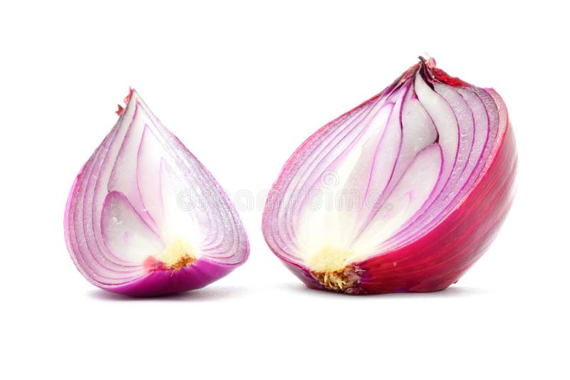 Red Onion Bulb Half and Quater Cut Vertical Longitudinal Section Stock ...