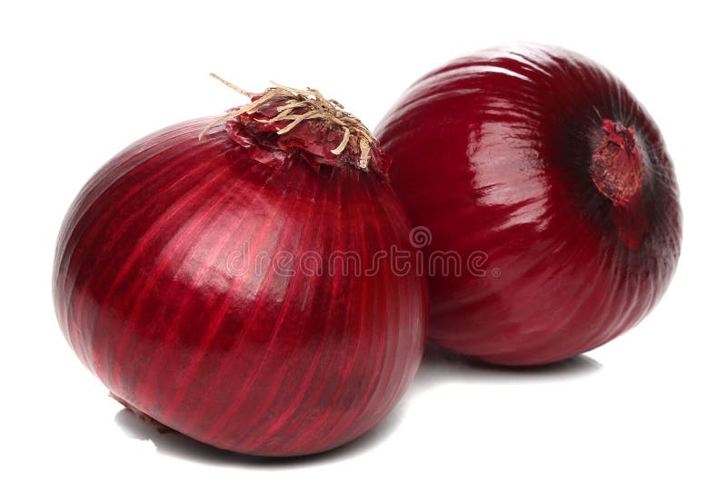Onion Bulb Growing with Young Shoots Isolated Stock Photo - Image of ...