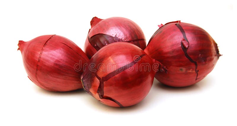 Red onion bulb stock photo. Image of agriculture, spice - 66916450