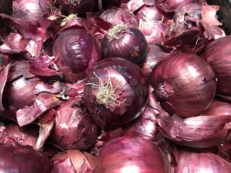 Red Onion Bulbs, Cropped Shot Stock Image - Image of cuisine, appetizer ...