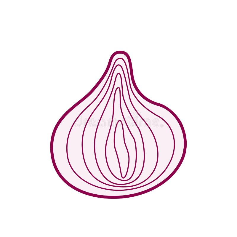 Stylized Onion Isolated Illustration Stock Vector - Illustration of ...