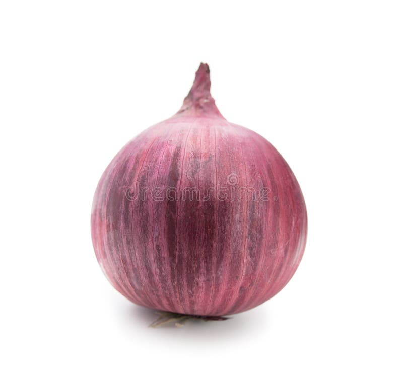 Red Onion Isolated on White Stock Image - Image of single, plant: 12279733