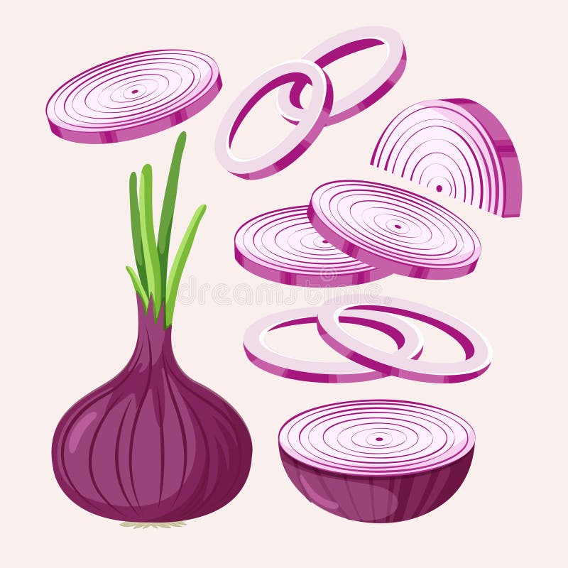 Red Onion Isolated on White Background. Whole Root Onion and Half ...