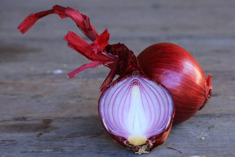 Red onion stock image. Image of agriculture, meal, grown - 56577109