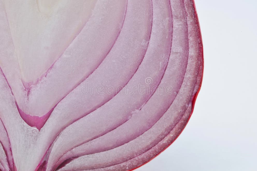 Red Onion Layers stock photo. Image of purple, vegetable - 21205506