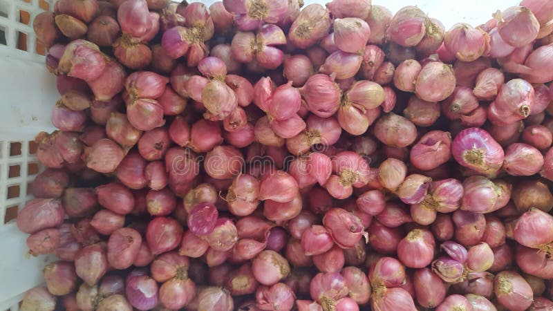 Red Onion Looks Clean and Nice Stock Image - Image of meat, produce ...