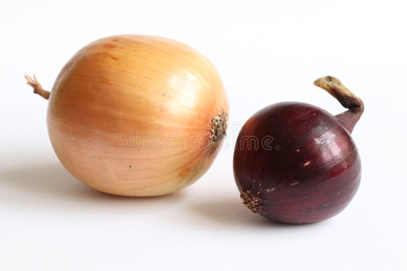 Red onion. stock image. Image of vegetarian, nutrition - 229179909