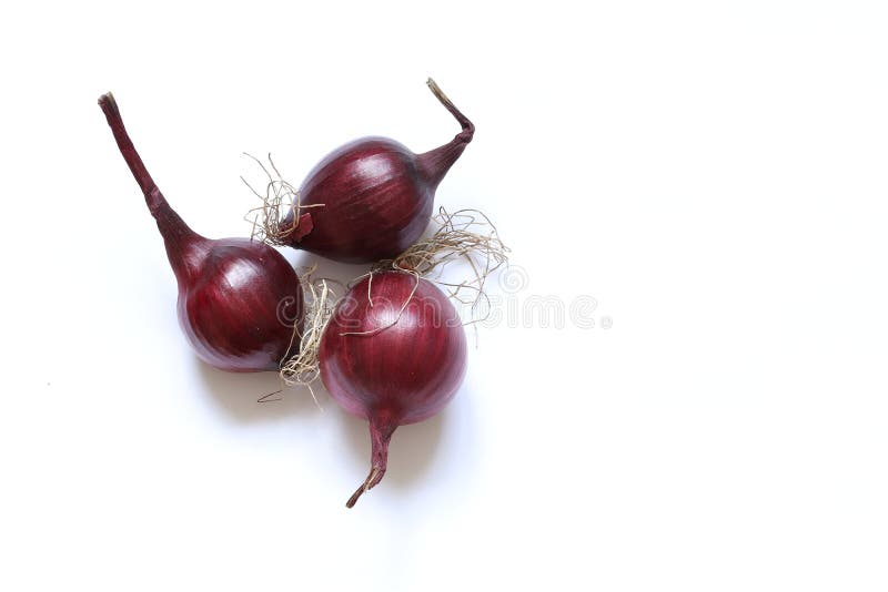 Red onion. stock photo. Image of health, isolated, light - 229179750