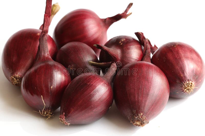 Red onion. stock photo. Image of background, organic - 229179778