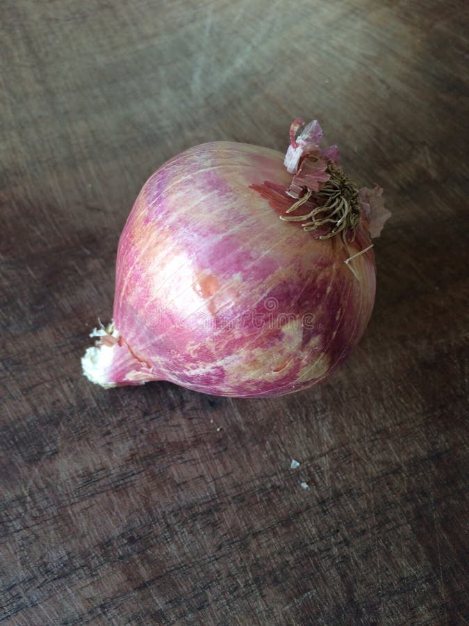 Red onion stock photo. Image of healthy, plant, nutrition - 79771180